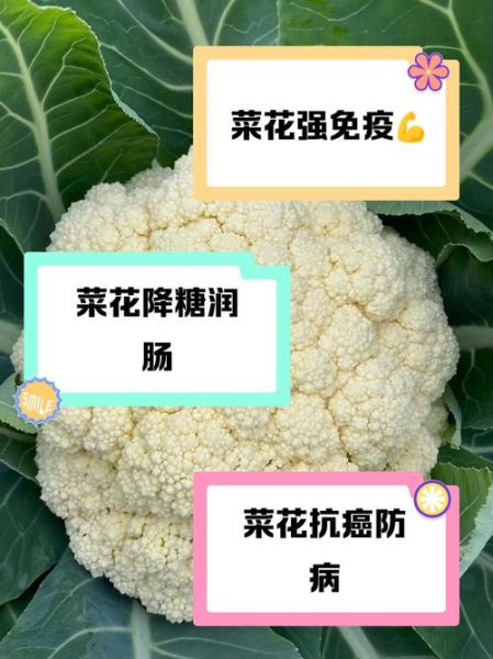 花菜吃太多有什么坏处_花菜过量摄入副作用-第2张图片-山城妙识 花菜吃太多有什么坏处_花菜过量摄入副作用-第2张图片-山城妙识