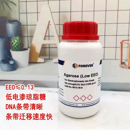 琼脂糖凝胶电泳怎么看结果_条带模糊怎么办-第3张图片-山城妙识 琼脂糖凝胶电泳怎么看结果_条带模糊怎么办-第3张图片-山城妙识