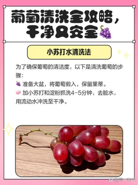 葡萄怎么洗干净_葡萄清洗的正确方法-第1张图片-山城妙识 葡萄怎么洗干净_葡萄清洗的正确方法-第1张图片-山城妙识