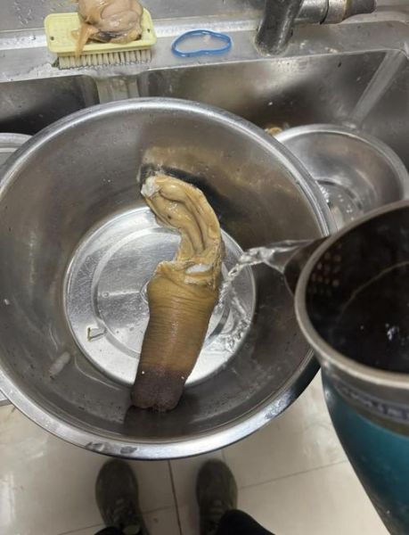 小象拔蚌怎么做_小象拔蚌清蒸还是爆炒-第1张图片-山城妙识