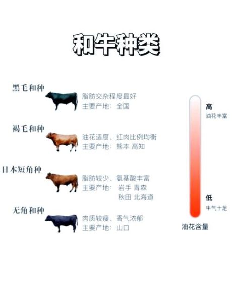 世界三大顶级牛肉有哪些_和牛神户松阪区别-第1张图片-山城妙识 世界三大顶级牛肉有哪些_和牛神户松阪区别-第1张图片-山城妙识