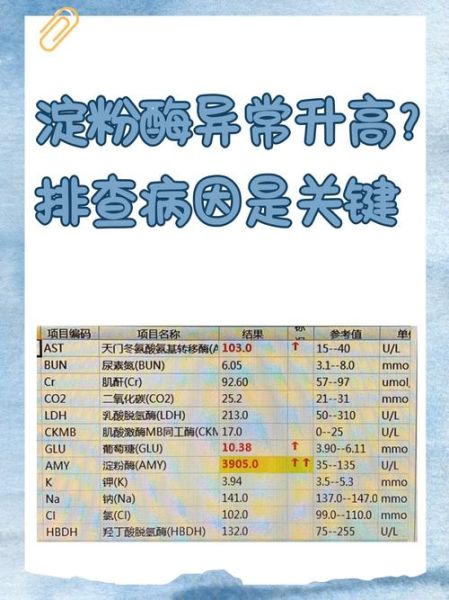 淀粉酶是什么_淀粉酶的作用与功能-第3张图片-山城妙识