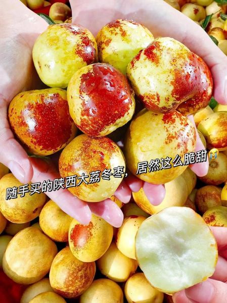 冬枣含糖量高吗_糖尿病人能吃吗-第1张图片-山城妙识