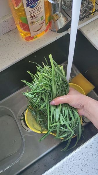 茴香饺子馅怎么做_茴香饺子馅的做法窍门-第1张图片-山城妙识