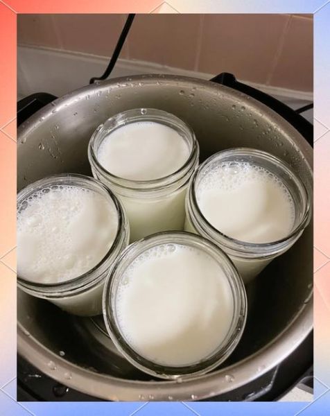 家庭酸奶怎么做_自制酸奶需要准备什么-第3张图片-山城妙识 家庭酸奶怎么做_自制酸奶需要准备什么-第3张图片-山城妙识