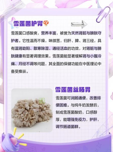 雪莲菌图片真假辨别_雪莲菌功效与作用-第1张图片-山城妙识 雪莲菌图片真假辨别_雪莲菌功效与作用-第1张图片-山城妙识