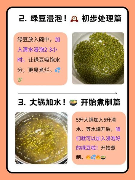 绿豆发芽了还能煮绿豆汤吗_发芽绿豆汤安全吗-第1张图片-山城妙识 绿豆发芽了还能煮绿豆汤吗_发芽绿豆汤安全吗-第1张图片-山城妙识
