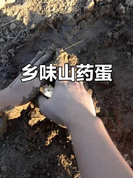 山药蛋派属于哪一类流派_山药蛋派写作特点-第2张图片-山城妙识