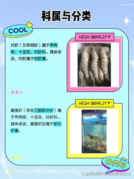 基围虾和对虾的区别_哪个更好吃-第1张图片-山城妙识