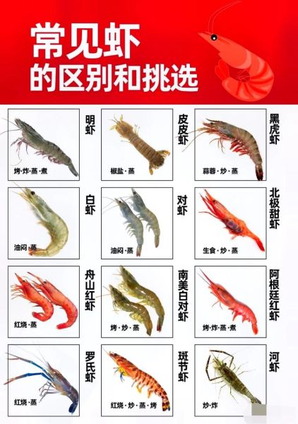 基围虾和对虾的区别_哪个更好吃-第2张图片-山城妙识