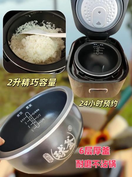 小型电饭煲哪个牌子好_迷你电饭煲怎么选-第1张图片-山城妙识