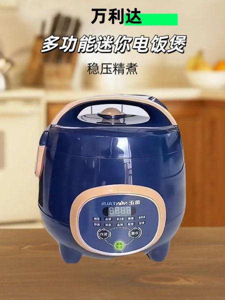 小型电饭煲哪个牌子好_迷你电饭煲怎么选-第2张图片-山城妙识