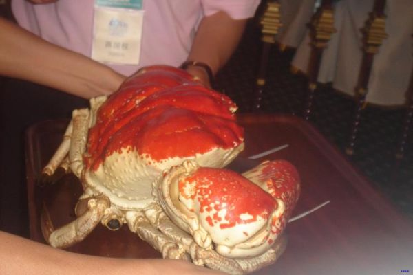 石蟹为什么那么便宜_石蟹和梭子蟹价格差在哪-第2张图片-山城妙识