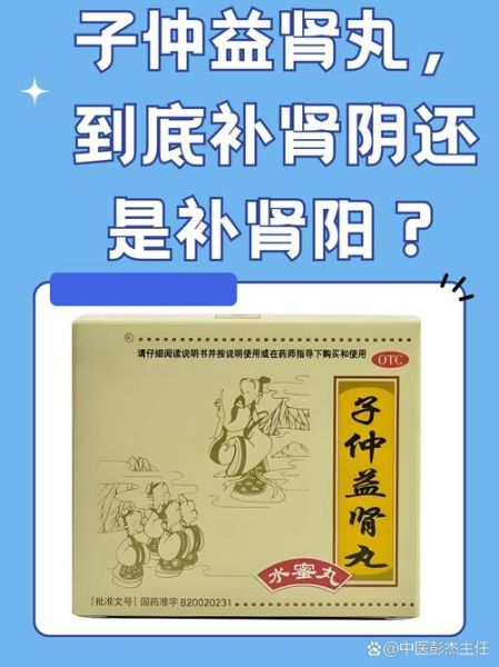 补肾食品药品排行榜_哪个效果最好-第3张图片-山城妙识 补肾食品药品排行榜_哪个效果最好-第3张图片-山城妙识