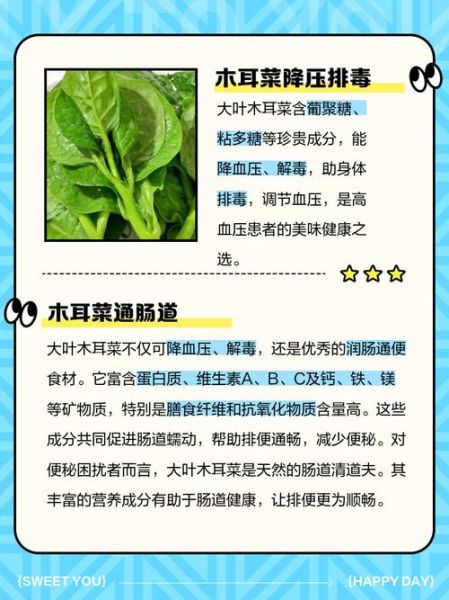 木耳菜图片功效与作用_孕妇能吃吗-第1张图片-山城妙识 木耳菜图片功效与作用_孕妇能吃吗-第1张图片-山城妙识