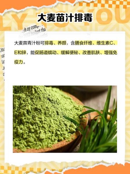 大麦苗粉是骗局吗_大麦苗粉副作用有哪些-第3张图片-山城妙识