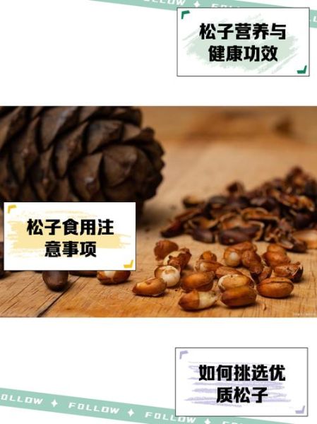 儿童吃松子有什么好处_松子对儿童的功效与作用-第1张图片-山城妙识 儿童吃松子有什么好处_松子对儿童的功效与作用-第1张图片-山城妙识