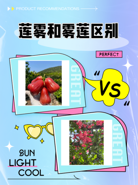 释迦果和莲雾为什么是夫妻果_释迦莲雾搭配功效-第1张图片-山城妙识