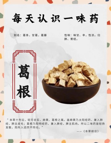 葛根的副作用有哪些_葛根长期吃会伤肝肾吗-第2张图片-山城妙识