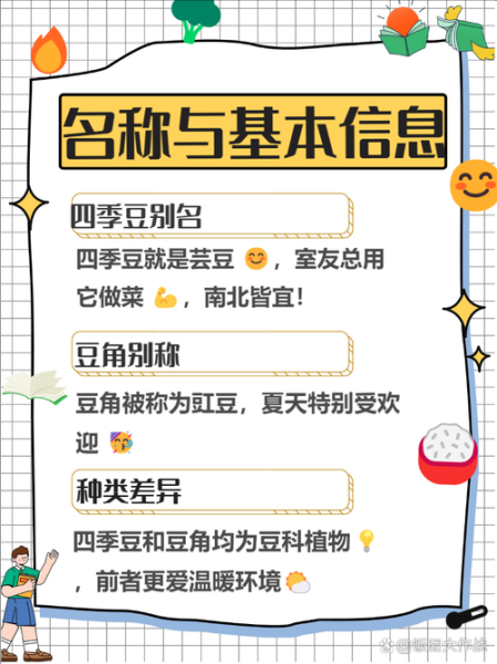 豆类蔬菜有哪些品种_四季豆和豇豆区别-第1张图片-山城妙识 豆类蔬菜有哪些品种_四季豆和豇豆区别-第1张图片-山城妙识