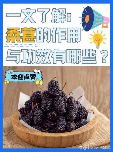 女人常年吃桑葚的好处_桑葚干和鲜桑葚哪个更养女人-第2张图片-山城妙识