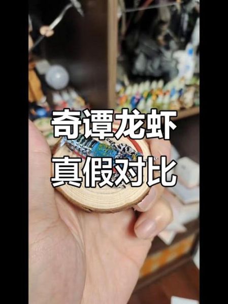 大龙虾图片_如何辨别真假-第2张图片-山城妙识