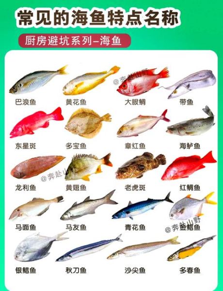 海鱼怎么做不腥_海鱼去腥最简单的方法-第1张图片-山城妙识 海鱼怎么做不腥_海鱼去腥最简单的方法-第1张图片-山城妙识