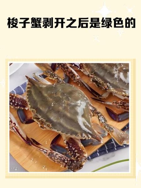 梭子蟹怎么剥_梭子蟹剥法步骤图-第1张图片-山城妙识 梭子蟹怎么剥_梭子蟹剥法步骤图-第1张图片-山城妙识