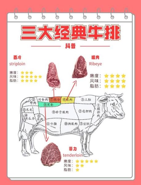 菲力牛排是牛的哪个部位_菲力牛排为什么嫩-第1张图片-山城妙识 菲力牛排是牛的哪个部位_菲力牛排为什么嫩-第1张图片-山城妙识