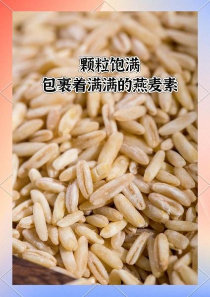 燕麦米和燕麦片有什么区别_哪个更适合减肥-第2张图片-山城妙识