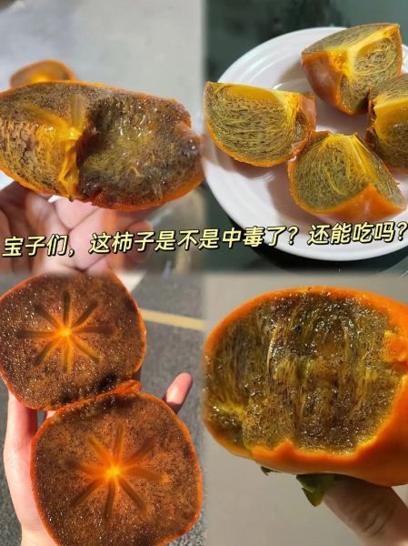 柿子不能和什么一起吃_真的会中毒吗-第3张图片-山城妙识 柿子不能和什么一起吃_真的会中毒吗-第3张图片-山城妙识