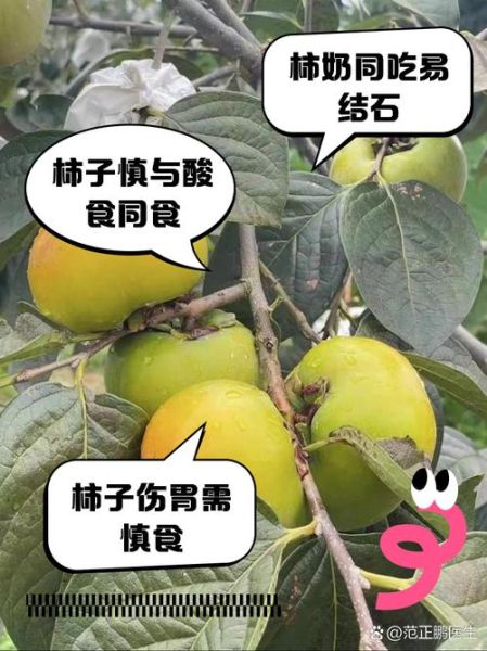 柿子不能和什么一起吃_真的会中毒吗-第2张图片-山城妙识 柿子不能和什么一起吃_真的会中毒吗-第2张图片-山城妙识