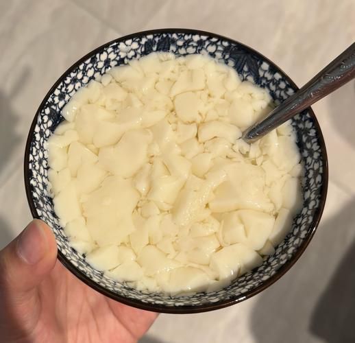 豆腐脑怎么做才嫩_快速做豆腐脑方法-第2张图片-山城妙识 豆腐脑怎么做才嫩_快速做豆腐脑方法-第2张图片-山城妙识