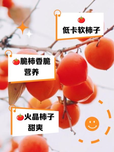 减肥吃柿子会胖吗_柿子热量高吗-第1张图片-山城妙识