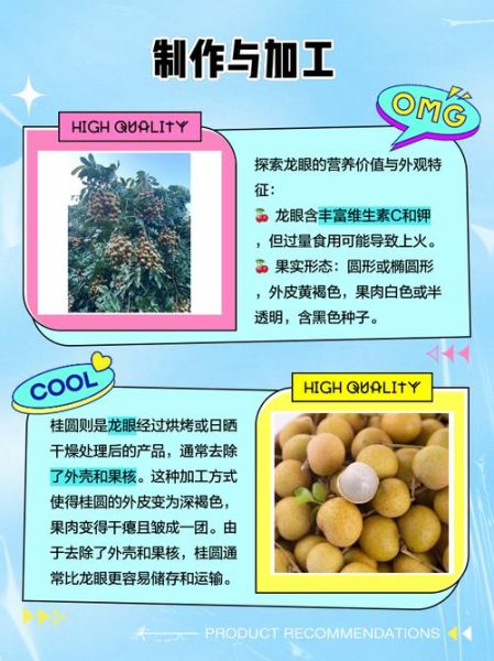 龙眼和桂圆的区别_龙眼的功效与作用-第3张图片-山城妙识 龙眼和桂圆的区别_龙眼的功效与作用-第3张图片-山城妙识