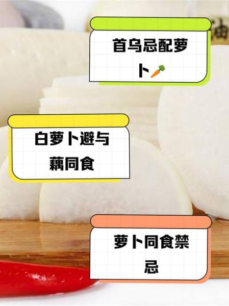 白萝卜粥的禁忌_什么人不能吃-第3张图片-山城妙识
