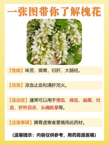 槐花吃多了有什么副作用_槐花泡水喝的禁忌-第2张图片-山城妙识 槐花吃多了有什么副作用_槐花泡水喝的禁忌-第2张图片-山城妙识