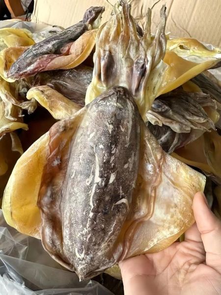 干墨鱼怎么做好吃又简单_干墨鱼泡发多久才软-第2张图片-山城妙识 干墨鱼怎么做好吃又简单_干墨鱼泡发多久才软-第2张图片-山城妙识