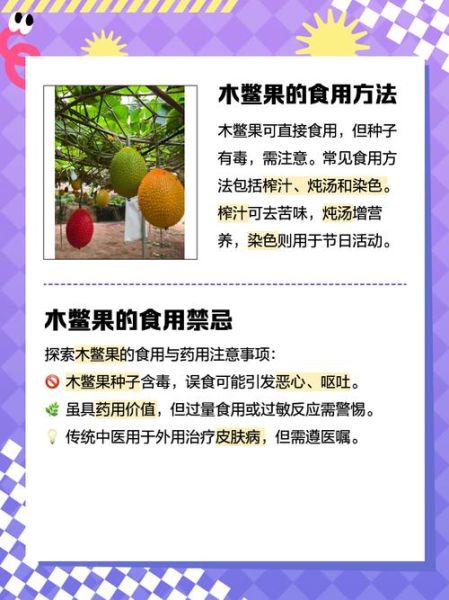 木鳖果的功效与作用怎么吃_木鳖果的正确吃法-第2张图片-山城妙识