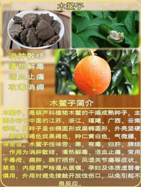 木鳖果的功效与作用怎么吃_木鳖果的正确吃法-第1张图片-山城妙识