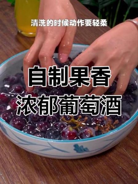 自制白葡萄酒的正确方法_家庭自酿白葡萄酒步骤-第3张图片-山城妙识