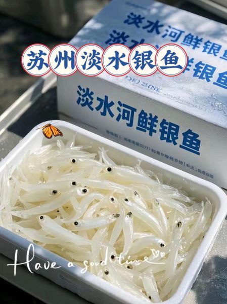 四大淡水名鱼有哪些_如何挑选正宗太湖银鱼-第3张图片-山城妙识