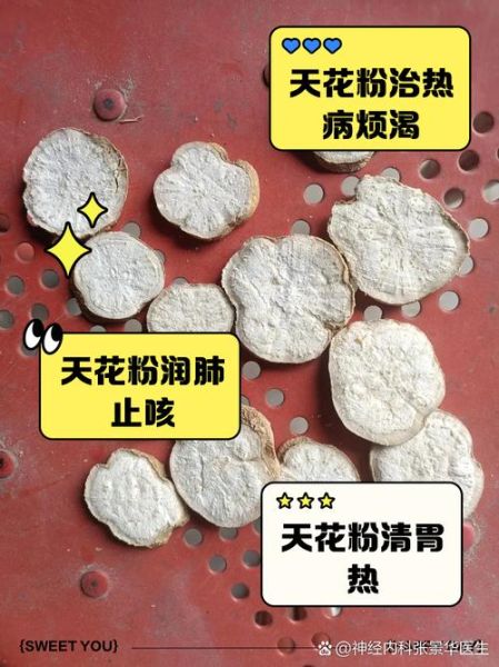 天花粉的功效与作用有哪些_天花粉图片怎么辨别真假-第1张图片-山城妙识