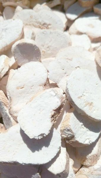 天花粉的功效与作用有哪些_天花粉图片怎么辨别真假-第2张图片-山城妙识