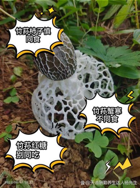 竹荪不适宜人群有哪些_竹荪哪些人不能吃-第2张图片-山城妙识 竹荪不适宜人群有哪些_竹荪哪些人不能吃-第2张图片-山城妙识