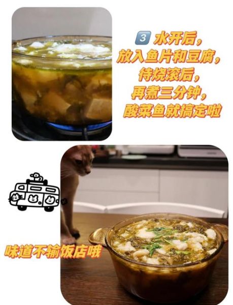 酸菜鱼调料包怎么用_酸菜鱼调料包哪个牌子好吃-第1张图片-山城妙识