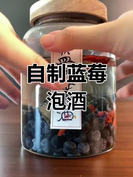 蓝莓泡酒的功效与禁忌_蓝莓泡酒可以天天喝吗-第3张图片-山城妙识 蓝莓泡酒的功效与禁忌_蓝莓泡酒可以天天喝吗-第3张图片-山城妙识
