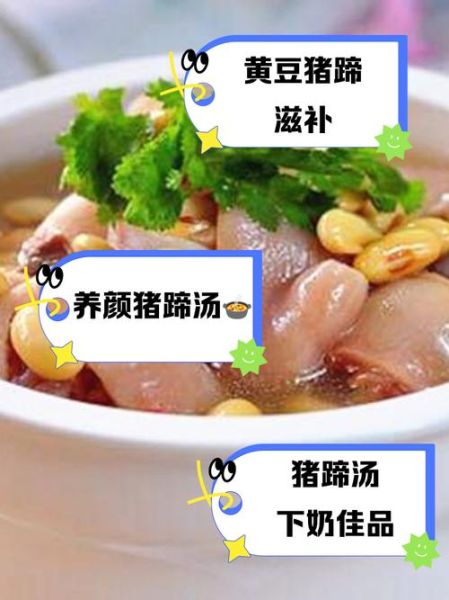 猪蹄炖黄豆怎么做_猪蹄炖黄豆的功效-第3张图片-山城妙识
