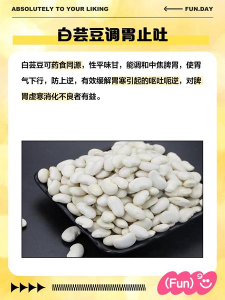 白芸豆的功效与作用_白芸豆的禁忌症有哪些-第1张图片-山城妙识 白芸豆的功效与作用_白芸豆的禁忌症有哪些-第1张图片-山城妙识