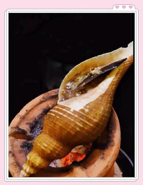 响螺图片_响螺怎么做好吃-第2张图片-山城妙识 响螺图片_响螺怎么做好吃-第2张图片-山城妙识